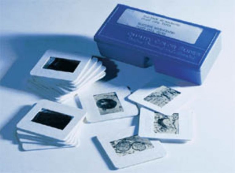 20 Slides, Qelizat Shtazore (BTZ001) – Eksploro.al